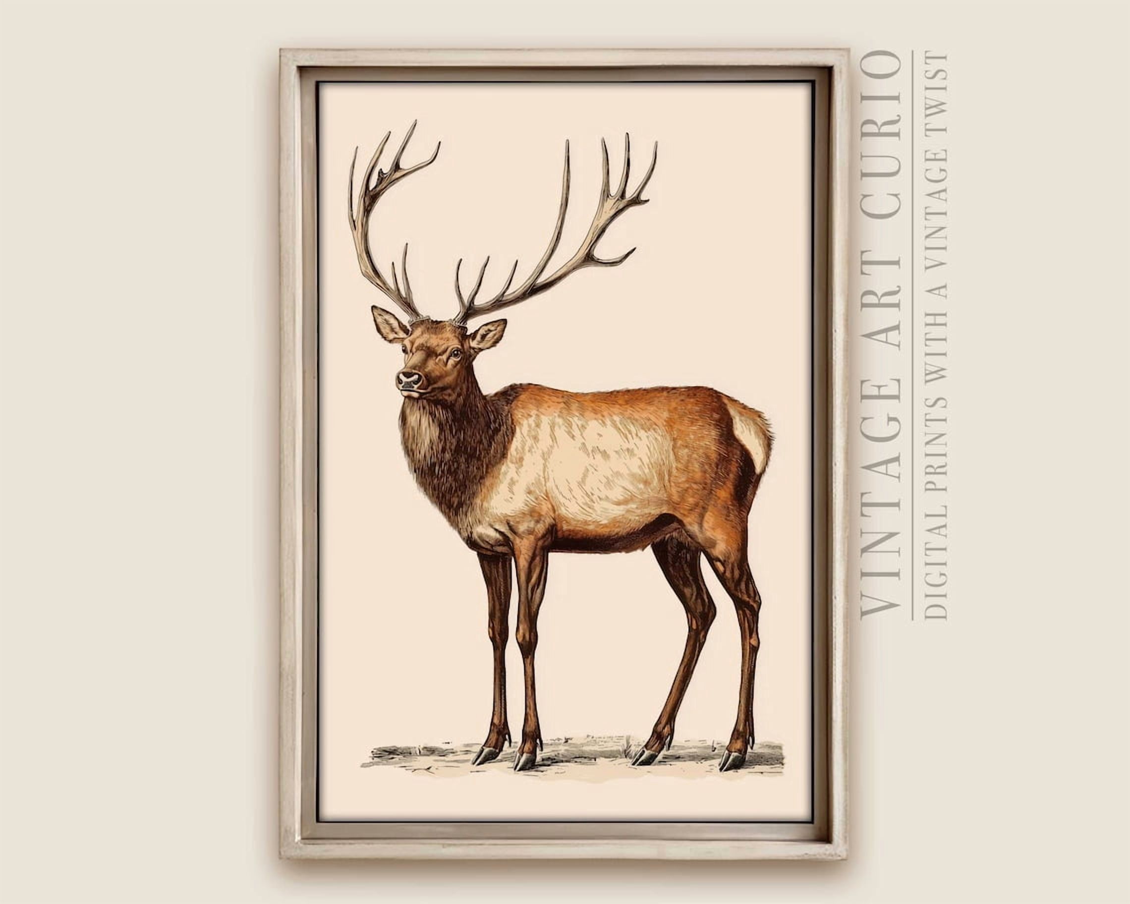 Majestic Elk Wall Art Print, Rustic Wildlife Decor, Woodland Nature ...