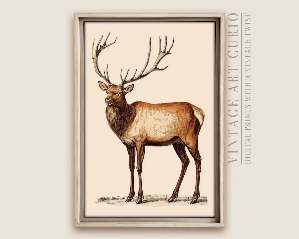 Majestic Elk Wall Art Print, Rustic Wildlife Decor, Woodland Nature ...