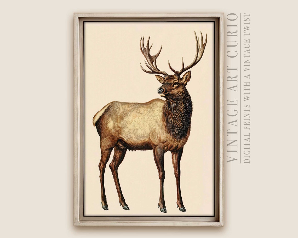 Majestic Elk Wall Art Print, Rustic Wildlife Decor, Woodland Nature ...