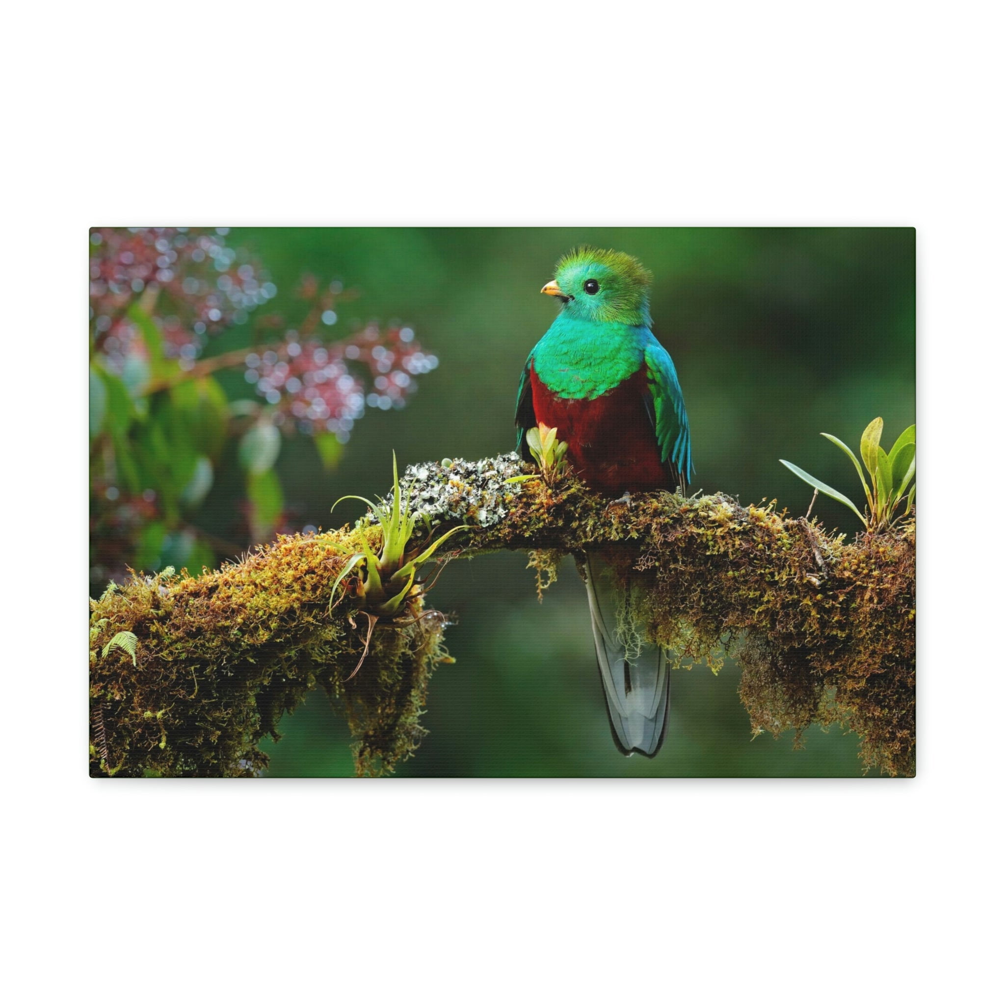 Majestic Quetzal Art Majestic Quetzal Print Animal Wall Art Wildlife ...