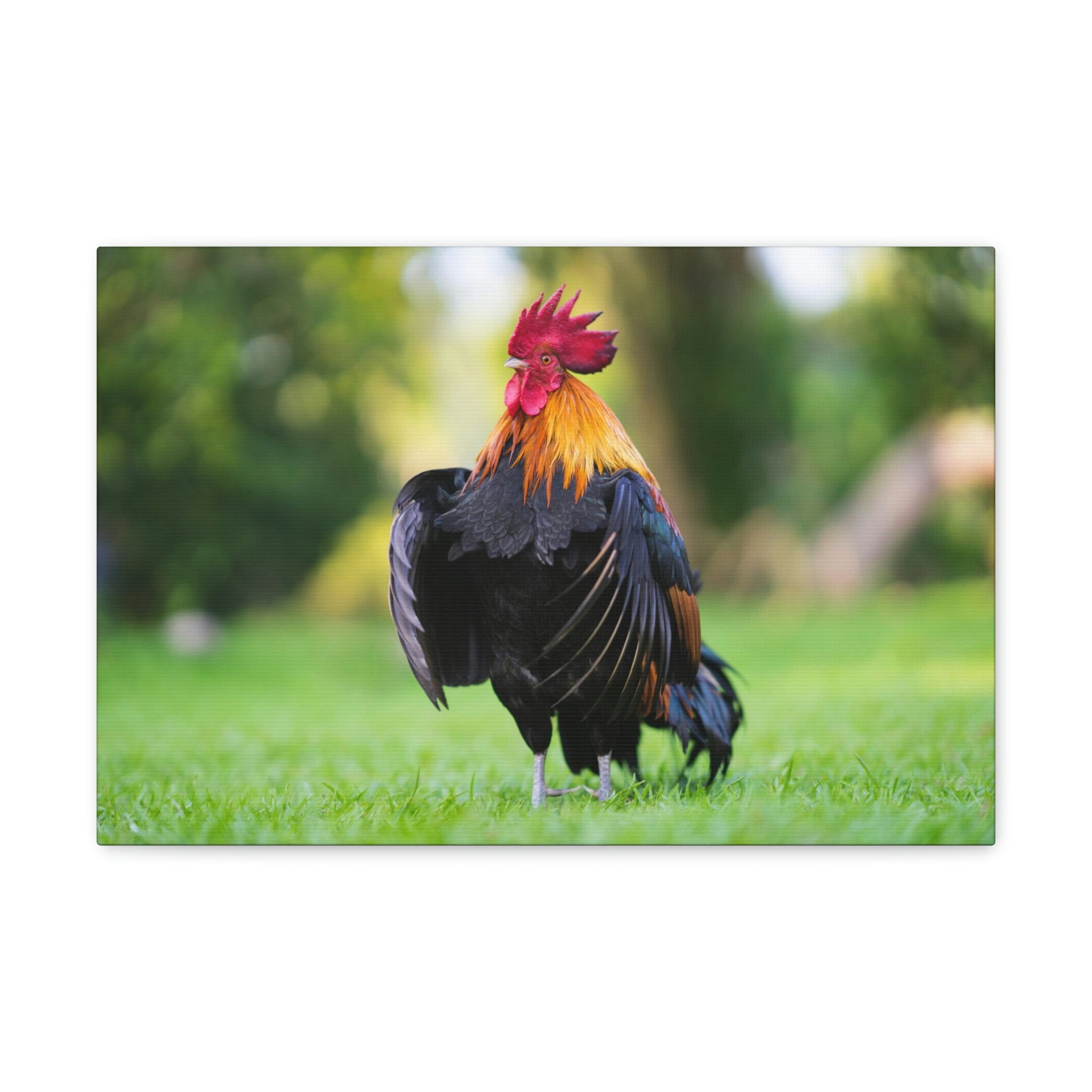 Majestic Rooster Art Majestic Rooster Print Animal Wall Art Wildlife ...