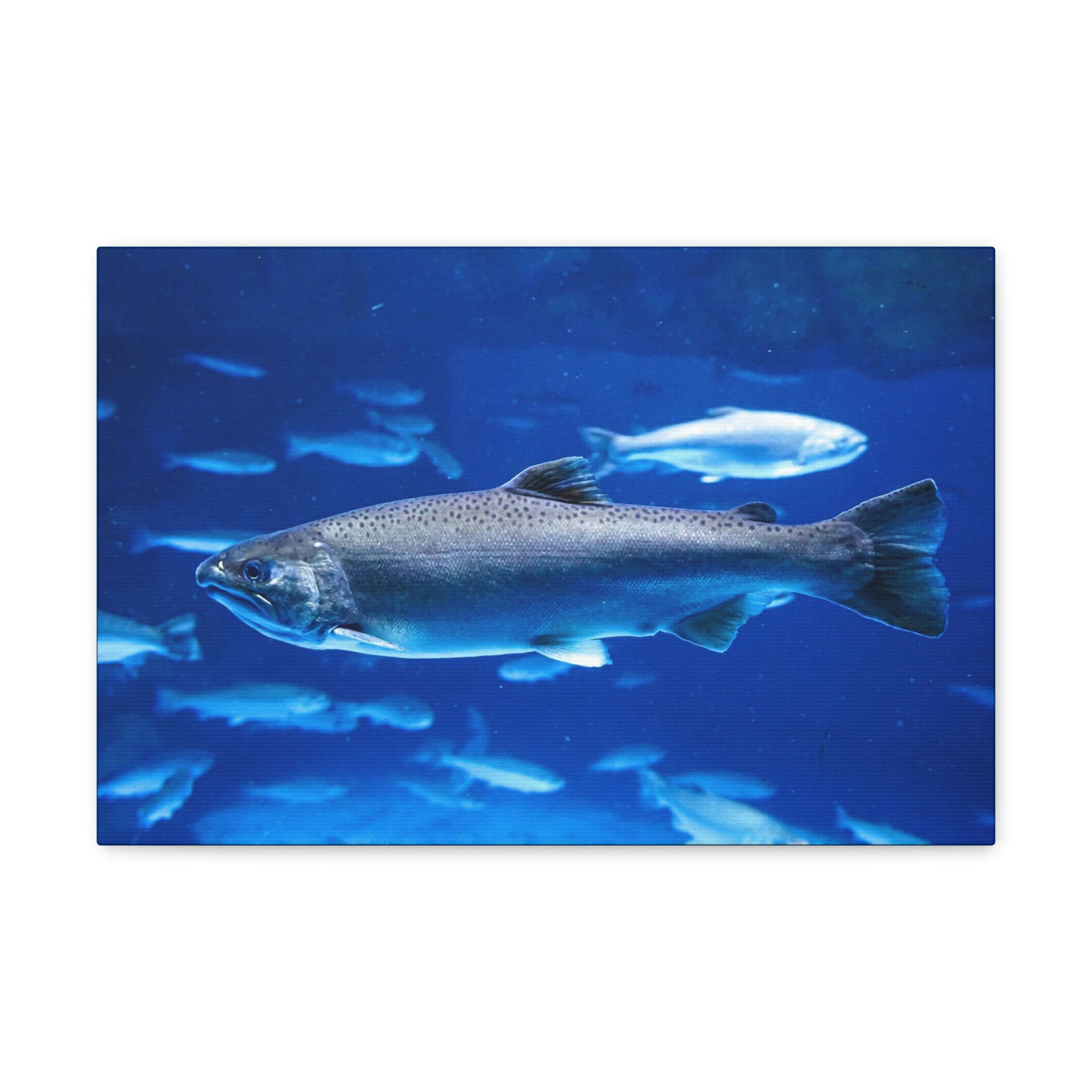 Majestic Salmon Art Majestic Salmon Print Animal Wall Art Wildlife ...