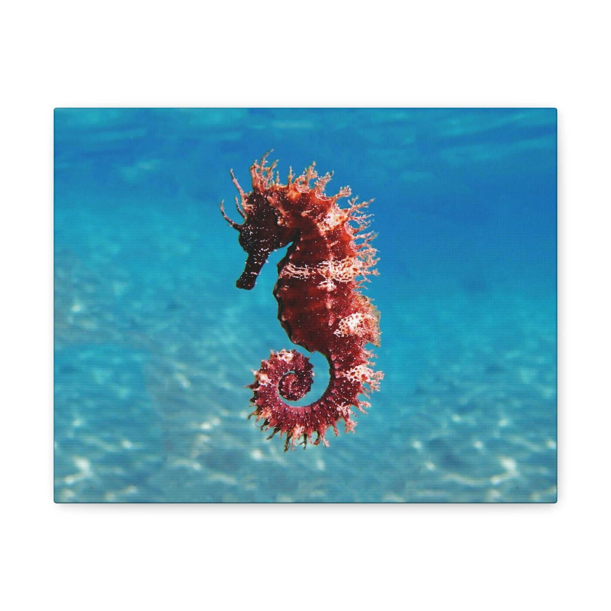 Majestic Seahorse Art Majestic Seahorse Print Animal Wall Art Wildlife ...