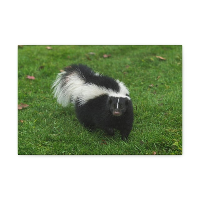 Majestic Skunks Art Majestic Skunks Print Animal Wall Art Wildlife ... Majestic Skunks Art Majestic Skunks Print Animal Wall Art Wildlife ...