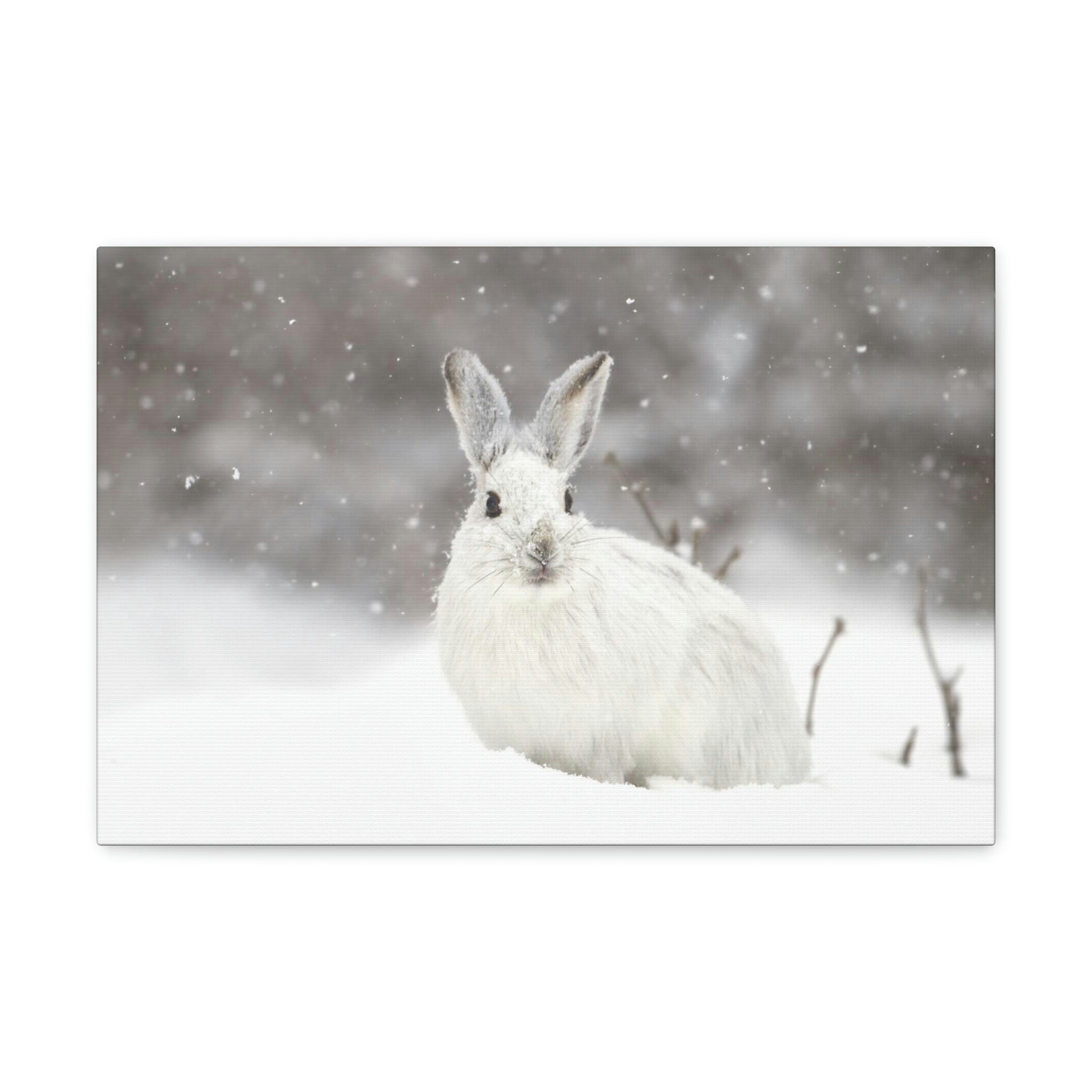 Majestic Snow Hare Art Majestic Snow Hare Print Animal Wall Art ...