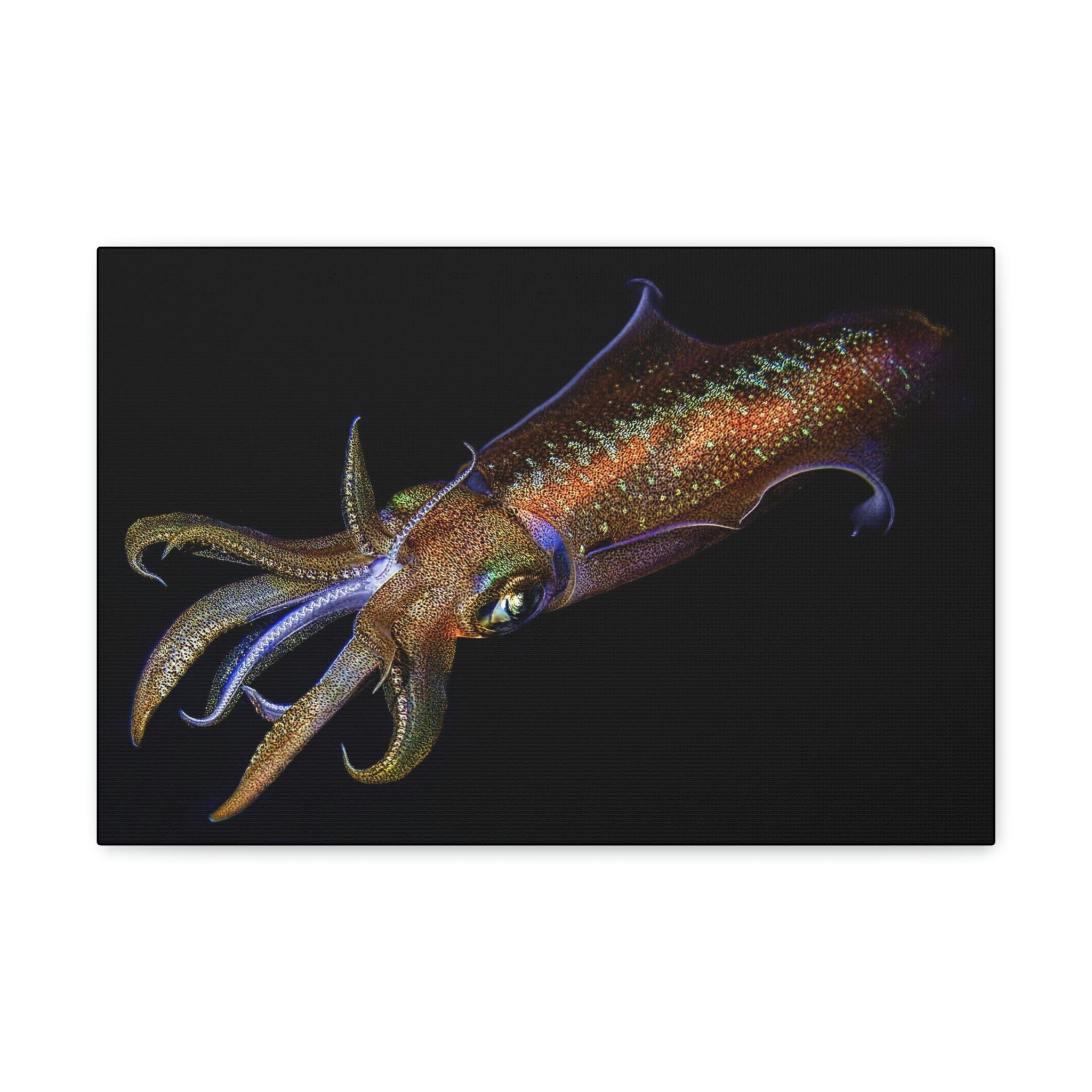 Majestic Squid Art Majestic Squid Print Animal Wall Art Wildlife Canvas ...