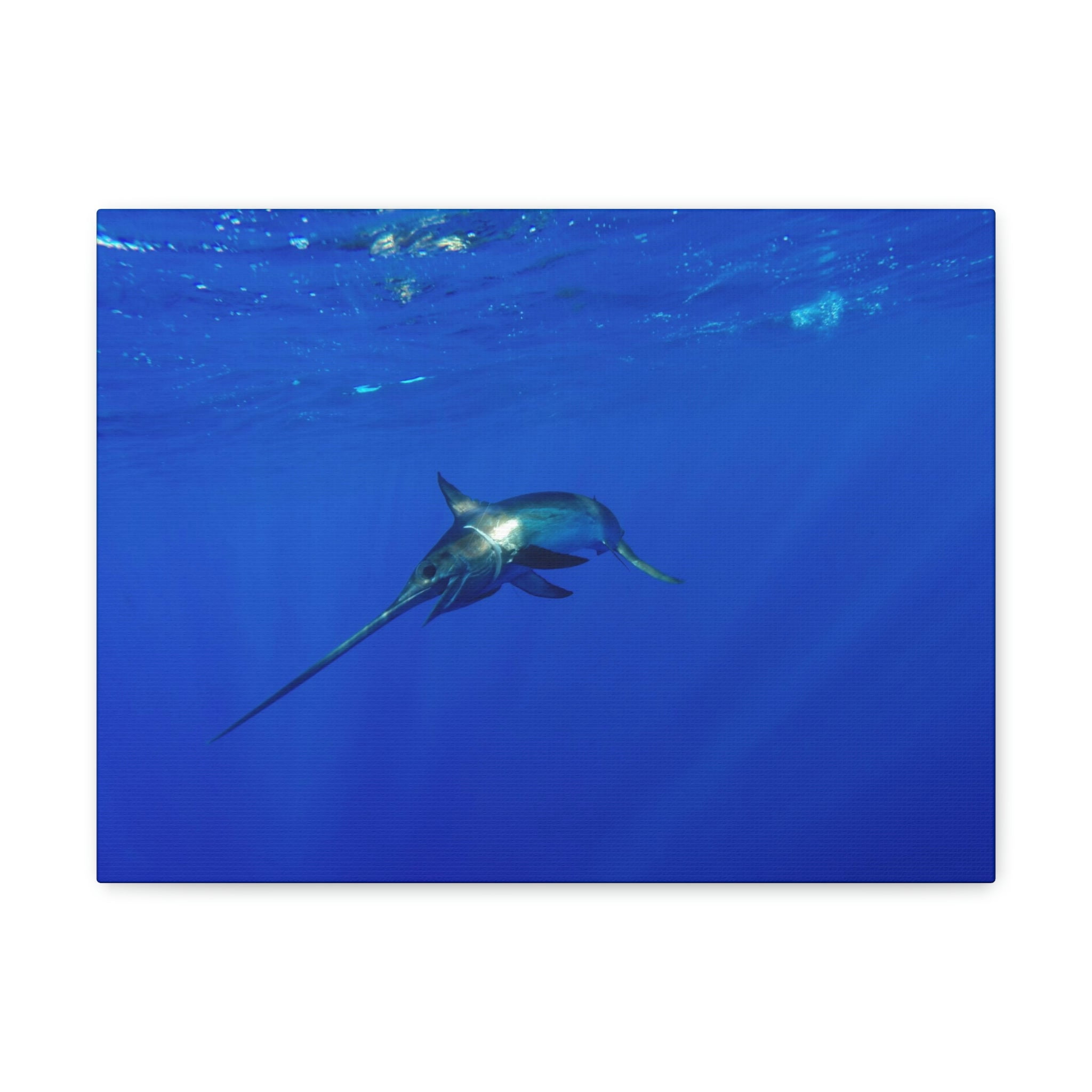 Majestic Sword Fish Art Majestic Sword Fish Print Animal Wall Art ...