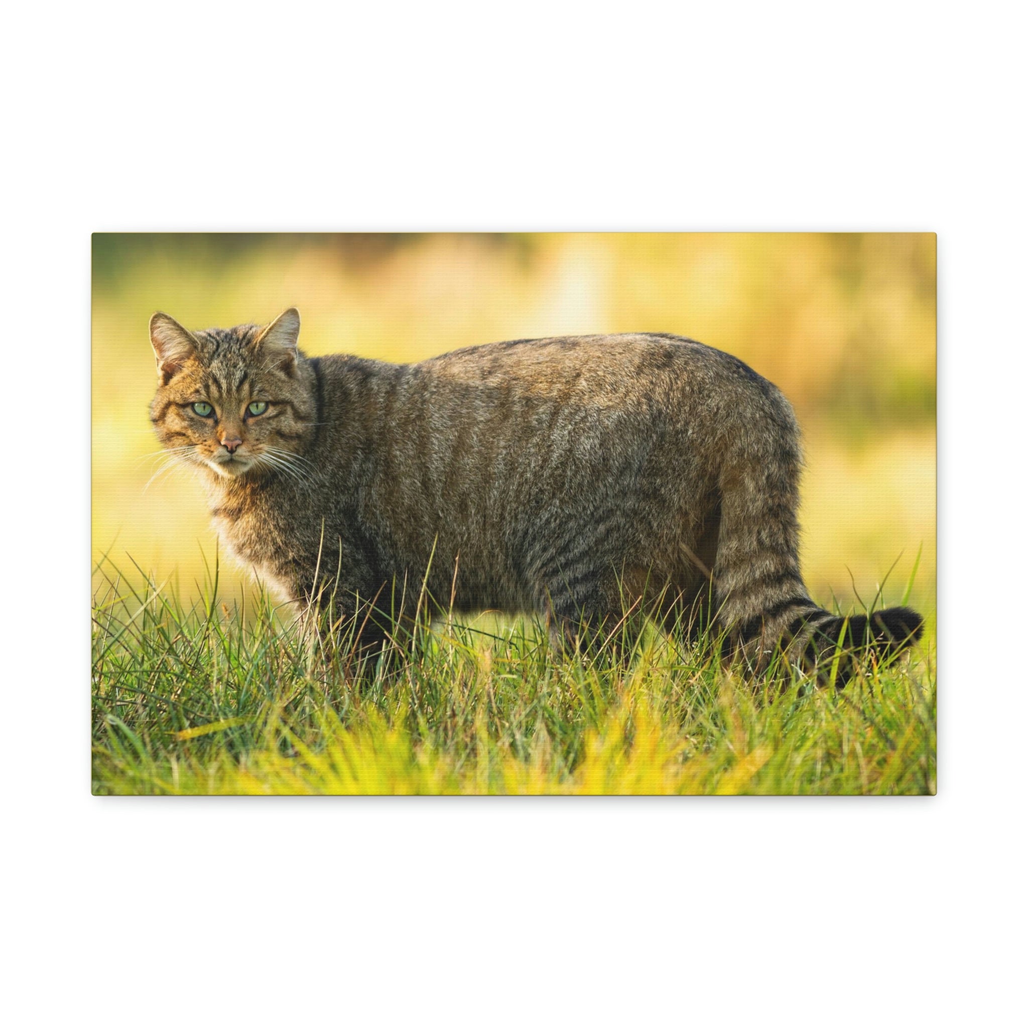 Majestic Wildcat Art Majestic Wildcat Print Animal Wall Art Wildlife ...