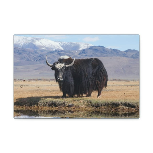 Majestic Yak Art Majestic Yak Print Animal Wall Art Wildlife Canvas ...