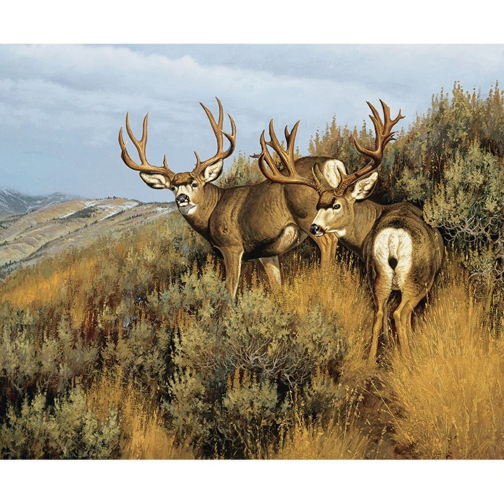 36" X 44" Panel Majestic in Nature Deer Bucks Hills Bushes Antlers ...