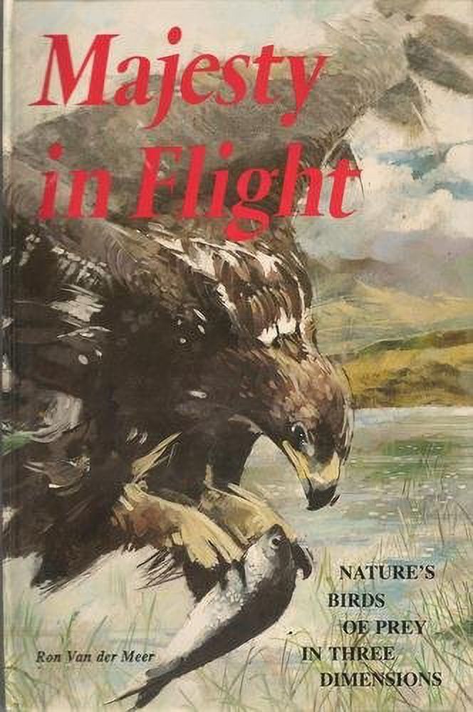 Pre-Owned Majesty in Flight: Nature's Birds of Prey in Three Dimensions ...