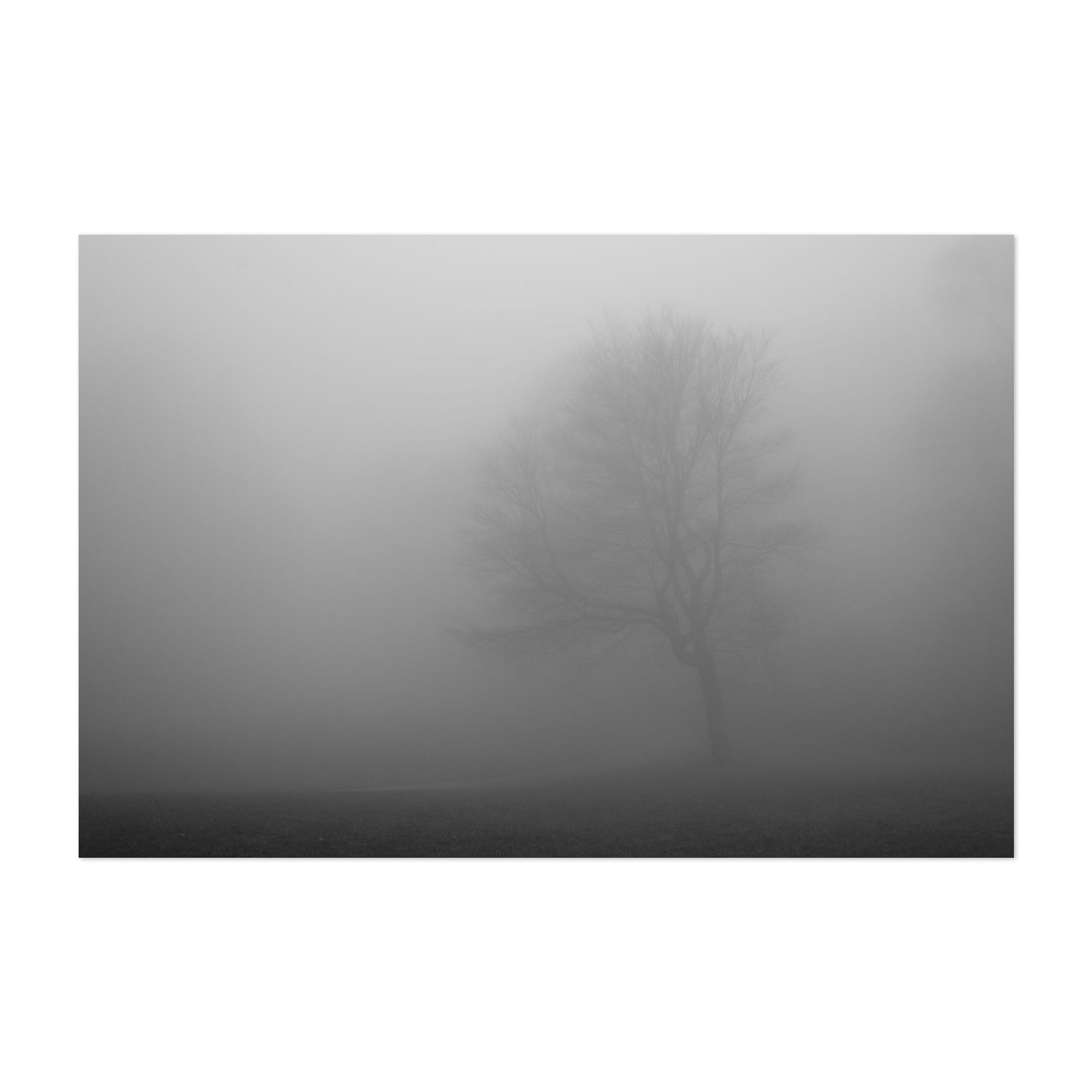 Major Fade - Virginia Photography Black and White Minimalist Nature ...