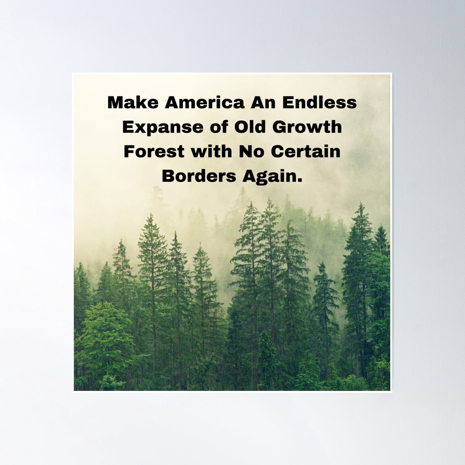 Make America An Endless Expanse Of Old Growth Forest With No Certain ...