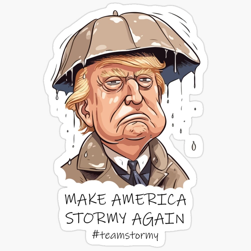 Make America Stormy Again Sticker Phone Decal Water Bottle Stickers Car ...