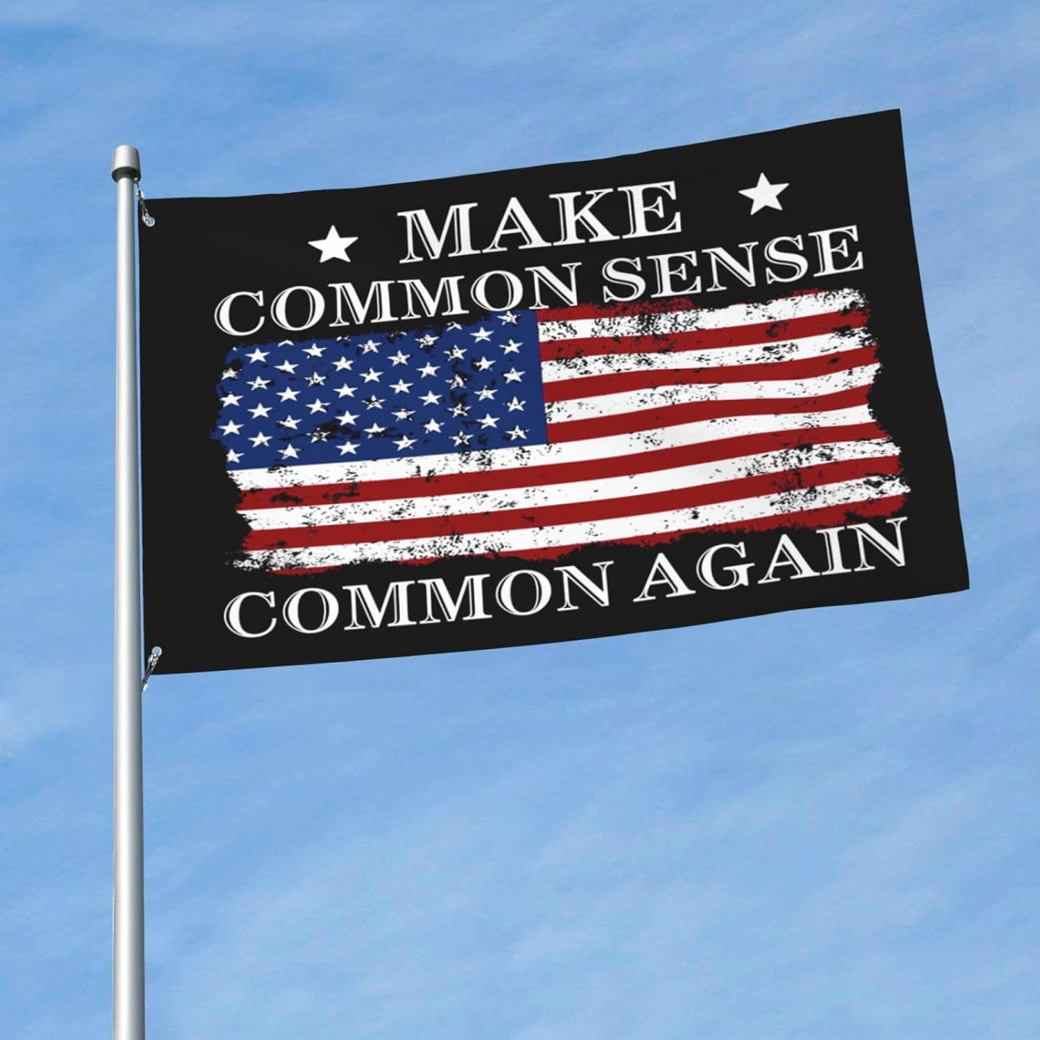 Make Common Sense Common Again 3x5 Flag Yard Sign Garden Banners ...