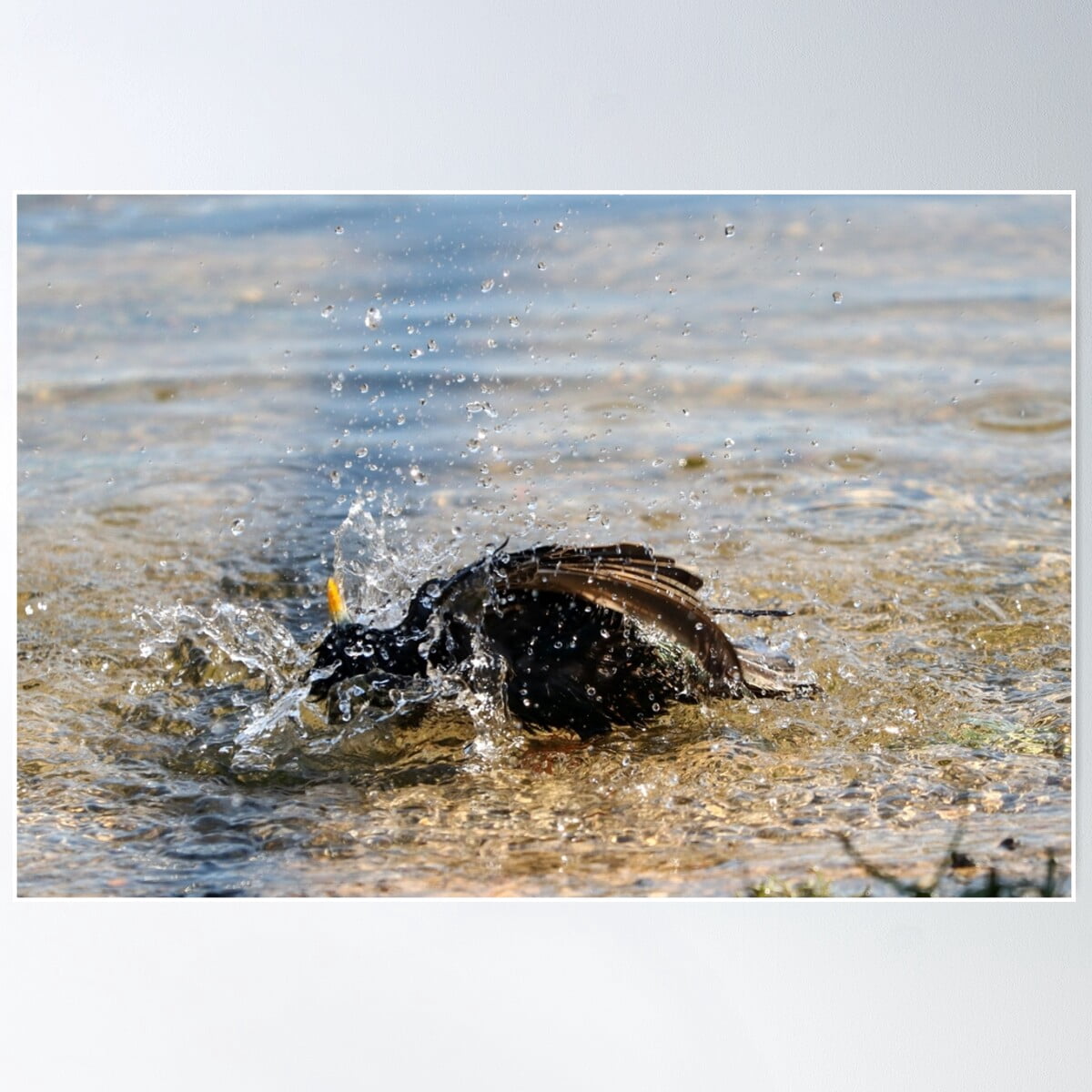 Making A Splash Poster Wall Art, Modern Wall Decor For Living Room ...