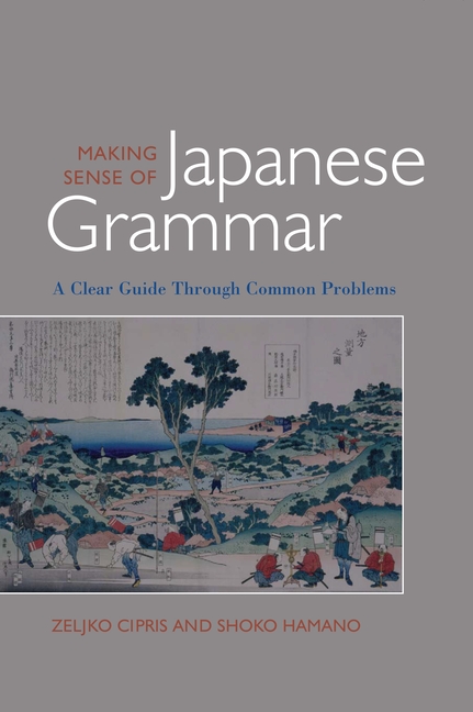 Making Sense of Japanese Grammar (Paper) (Paperback) - Walmart.com