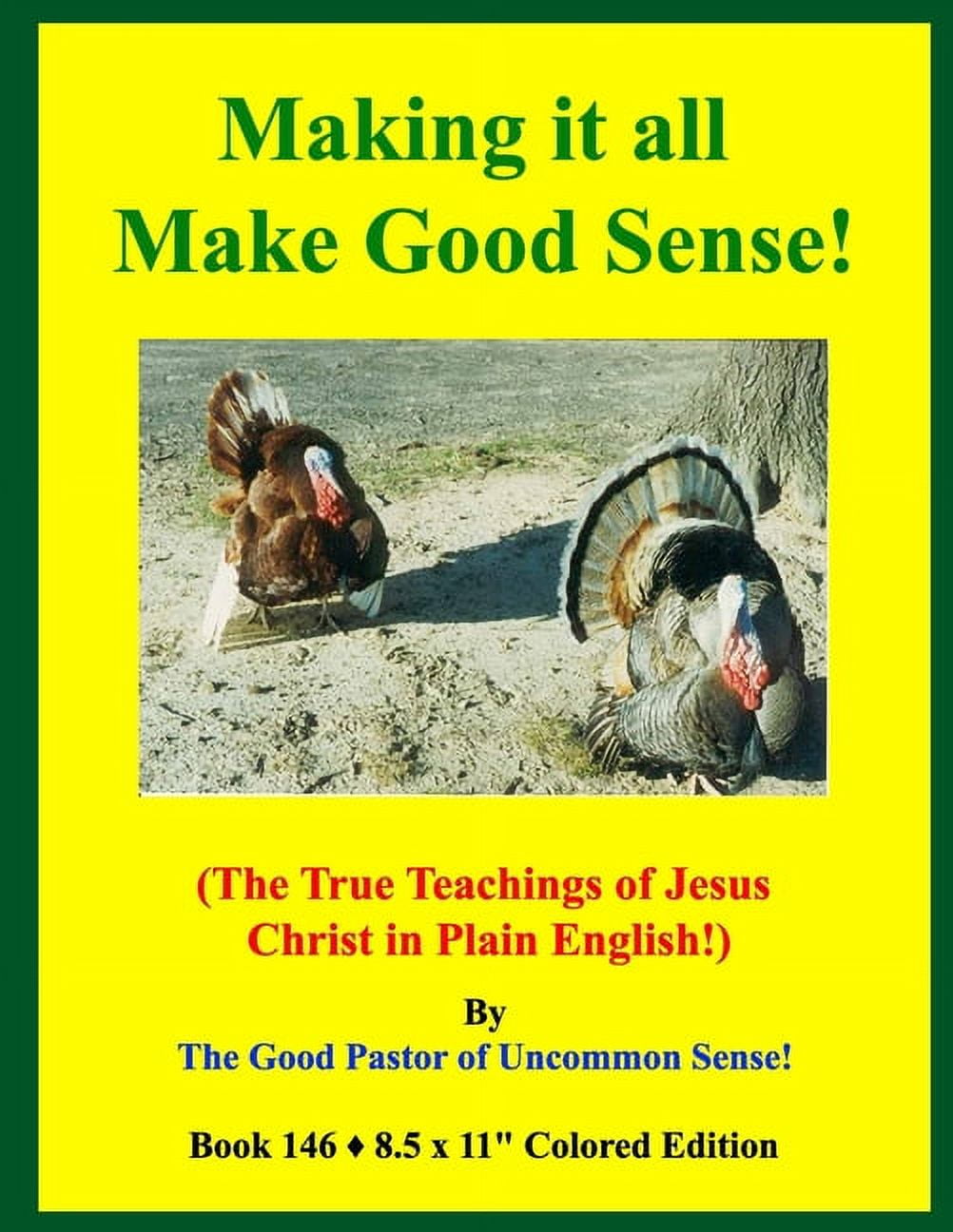 Making it all Make Good Sense!: (The True Teachings of Jesus Christ in ...