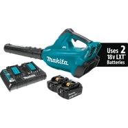 DEWALT 20V MAX XR Brushless Cordless Handheld Blower Kit, 450 CFM, 125 ...