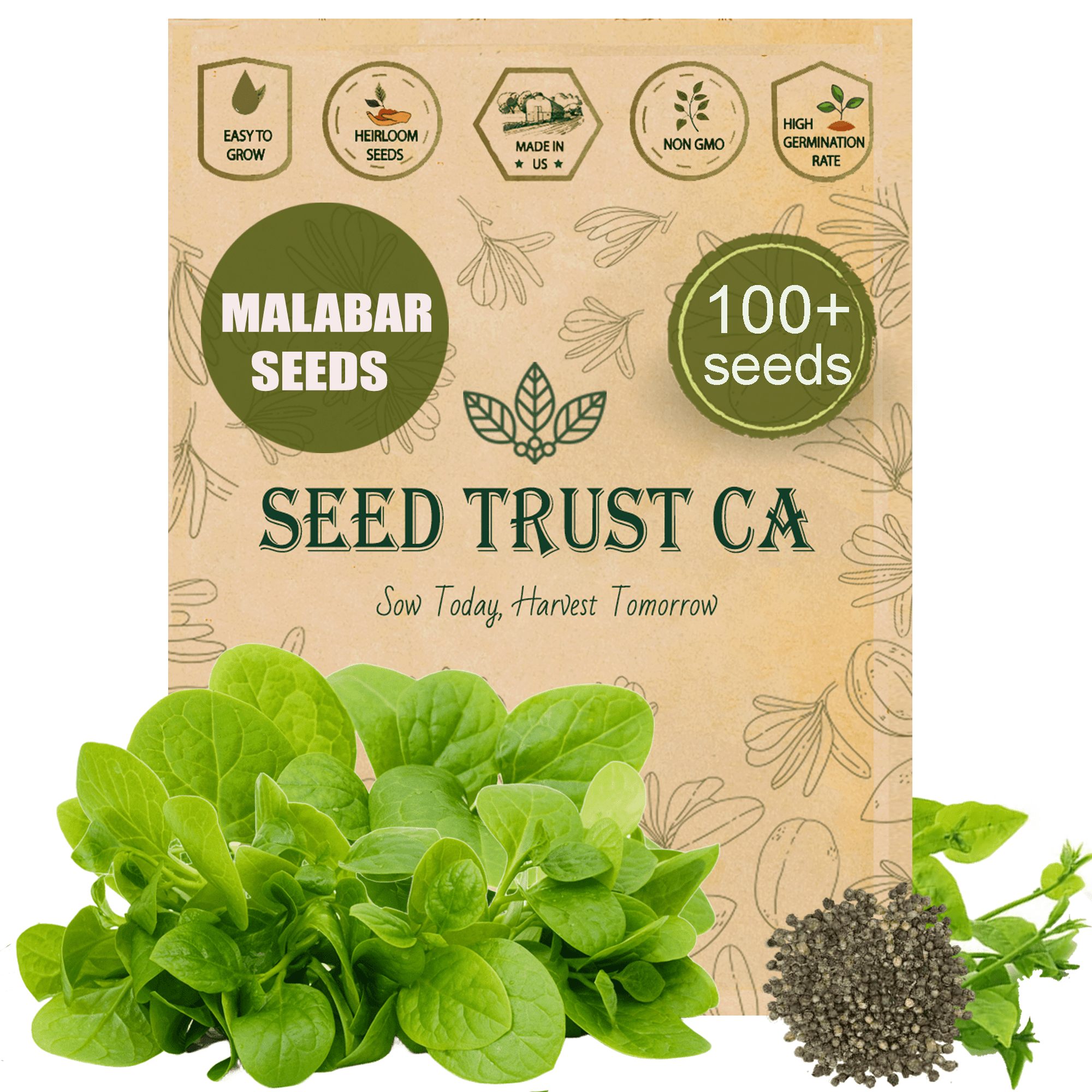 Seed Trust CA Malabar Spinach Seeds, 100+ Count, Non-GMO, High-Yielding ...
