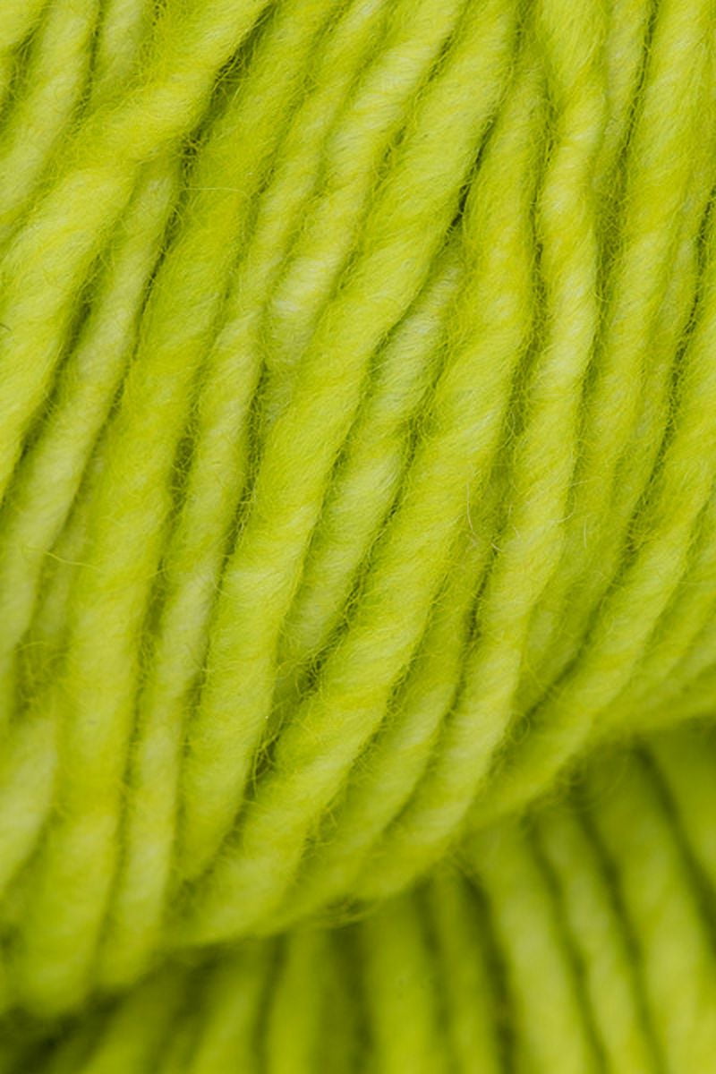 Malabrigo - Worsted Knitting Yarn - Apple Green (# 011) - Walmart.com