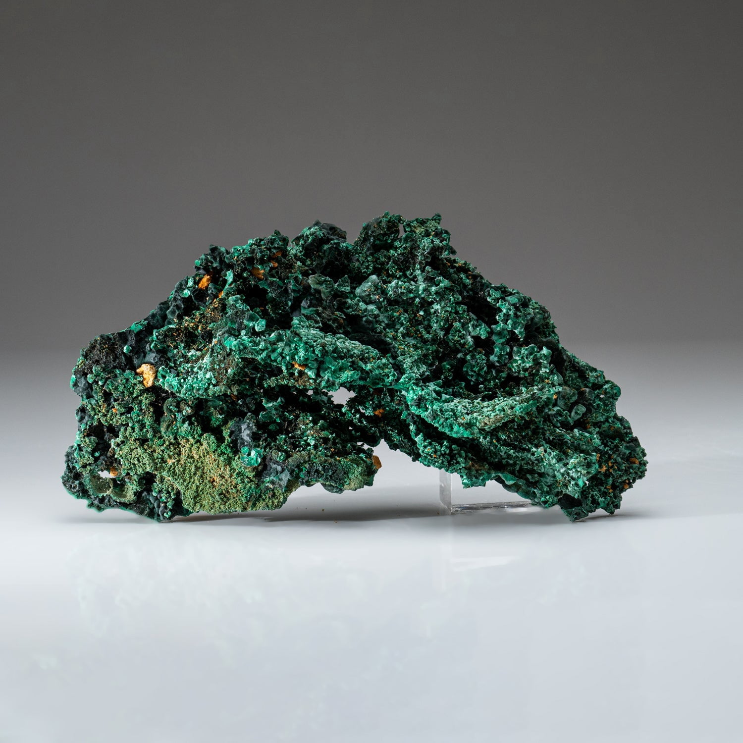 Malachite from Shaba Copper Belt, Katanga (Shaba) Province, Democratic ...