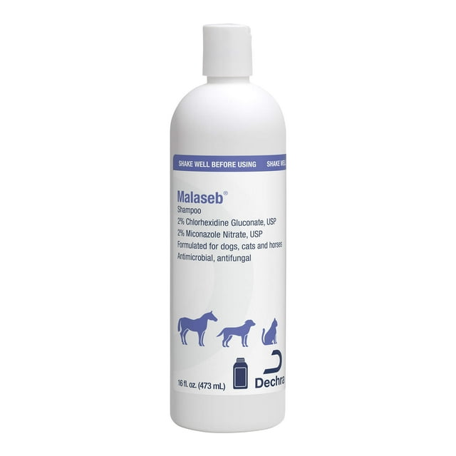 Malaseb Shampoo, 16 oz - Walmart.com