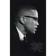 Treme Poster 11Inx17In Mini Poster 11x17 poster - Walmart.com