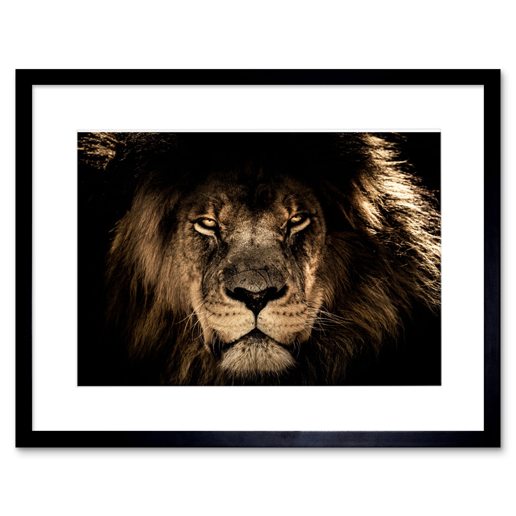 Male African Lion Face Cat Framed Wall Art Print - Walmart.com