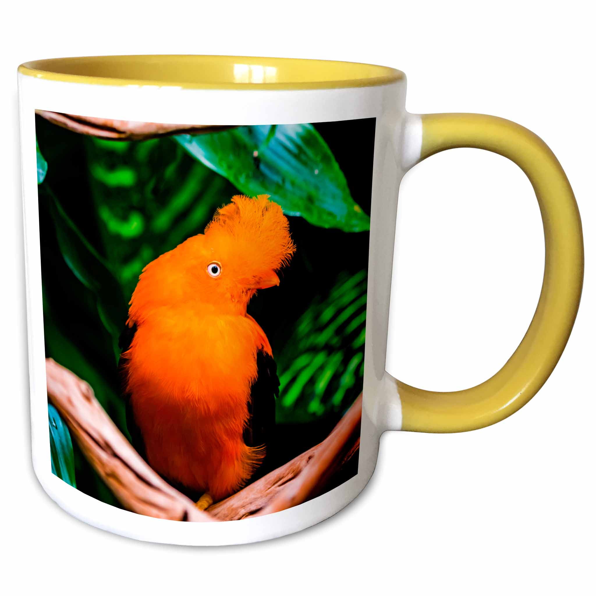 3drose, Male Andean Cock-of-the-rock. National Bird of Peru., 15oz Two ...