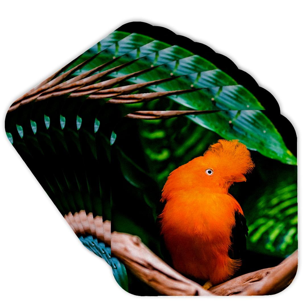 3drose, Male Andean Cock-of-the-rock. National Bird of Peru., Set of 8 ...