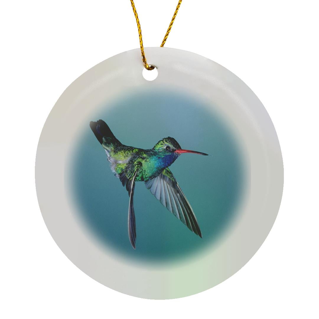 3drose, Male Broadbill Hummingbird - Na02 Dno0617 - David Northcott ...