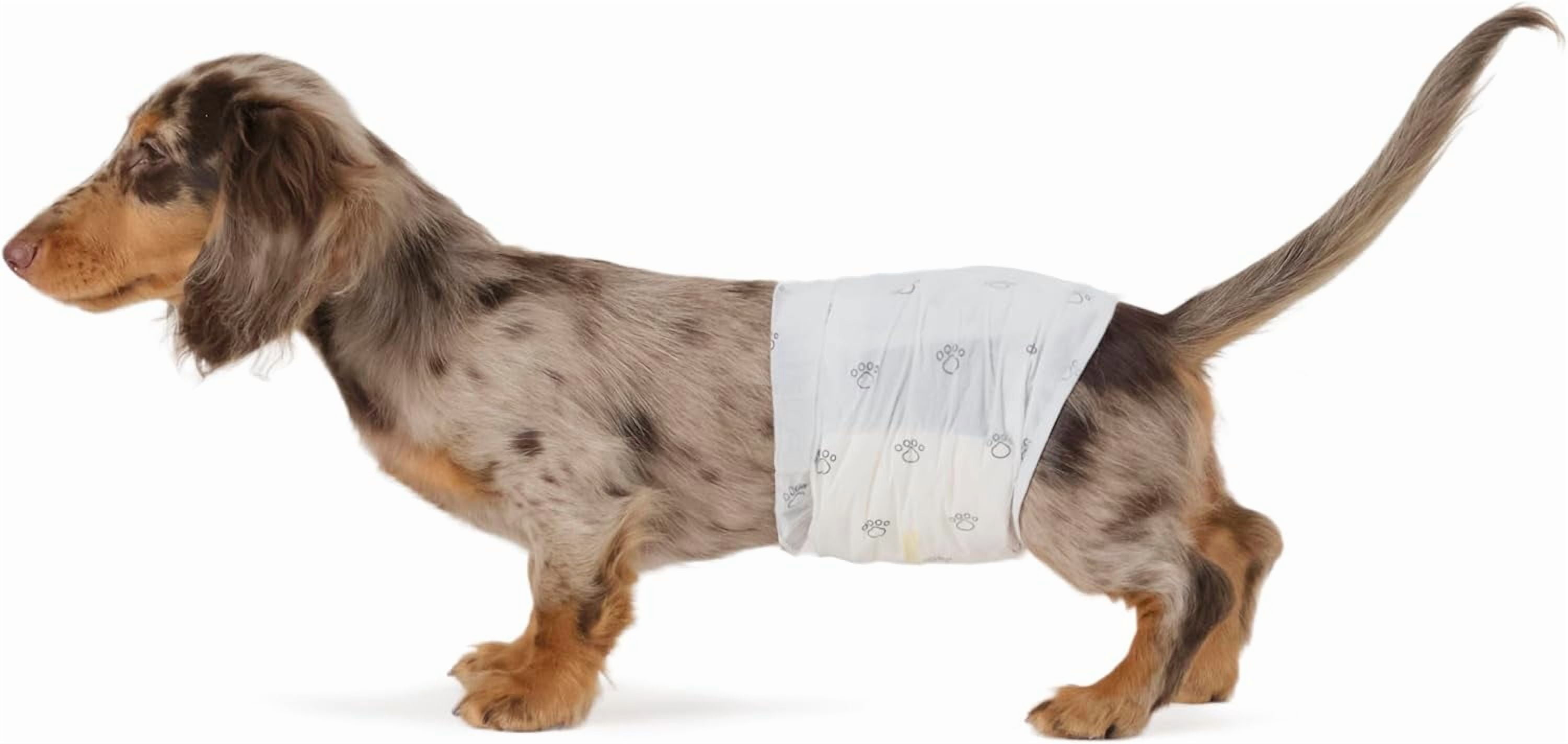 Male Dog Diapers, Ultra Absorbent Disposable Wrap with Secure Fit ...