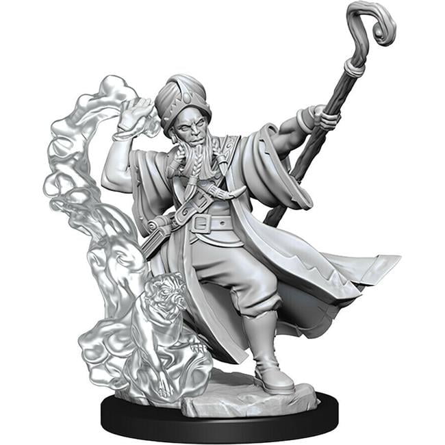 Male Dungeons & Dragons Frameworks Wave 1 Human Wizard Miniatures ...