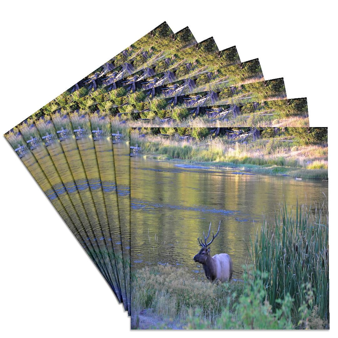 3drose, Male Elk in Theyellowstone River, Set of 8 Ceramic Tile ...