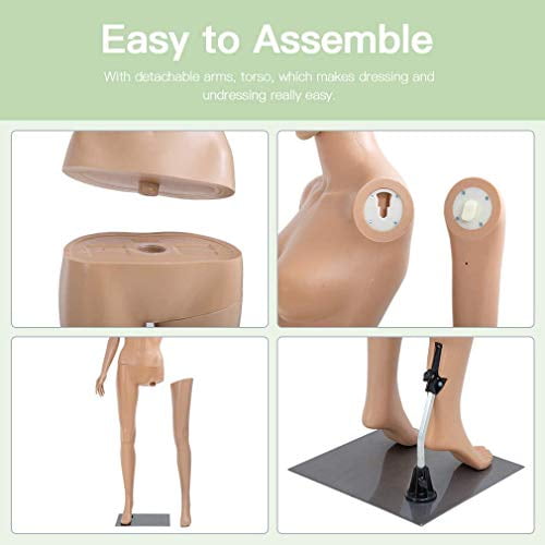 Male/Female Mannequin Full Body Dress Seamstress Model Poseable ...