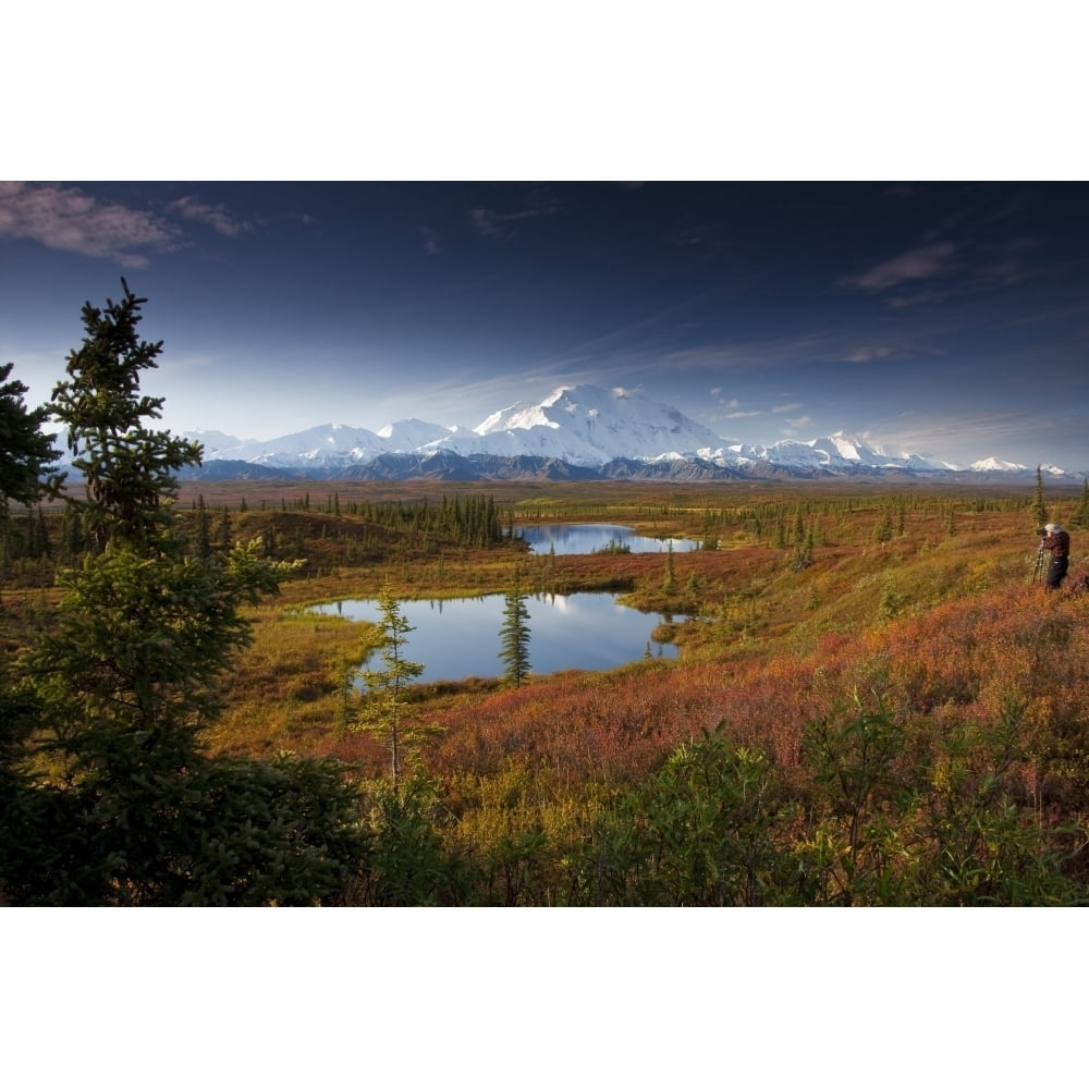 Male Hiker Photographs Mt Mckinley In The Morning Near Two Kettle Ponds In The Fall Tundra In ...