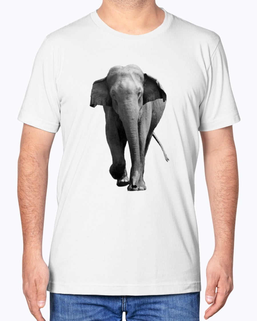 Male Indian Elephant Charging in Sri Lanka, Asian Elephant, Elephant ...