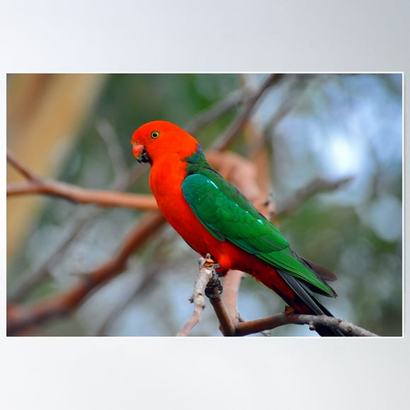 Brisbane Queensland Australia