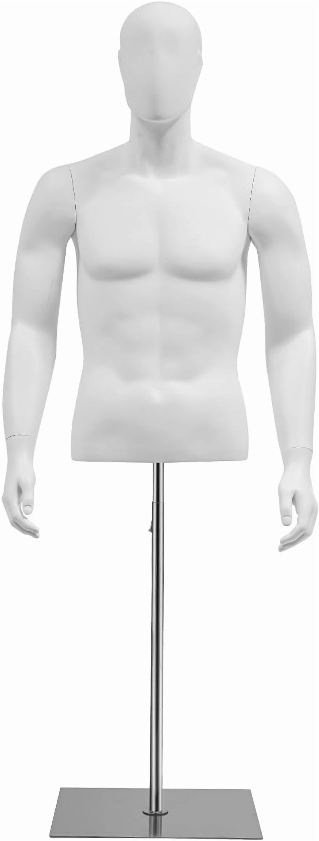 Male Mannequin Torso with Stand & Detachable Arms, Height Adjustable ...