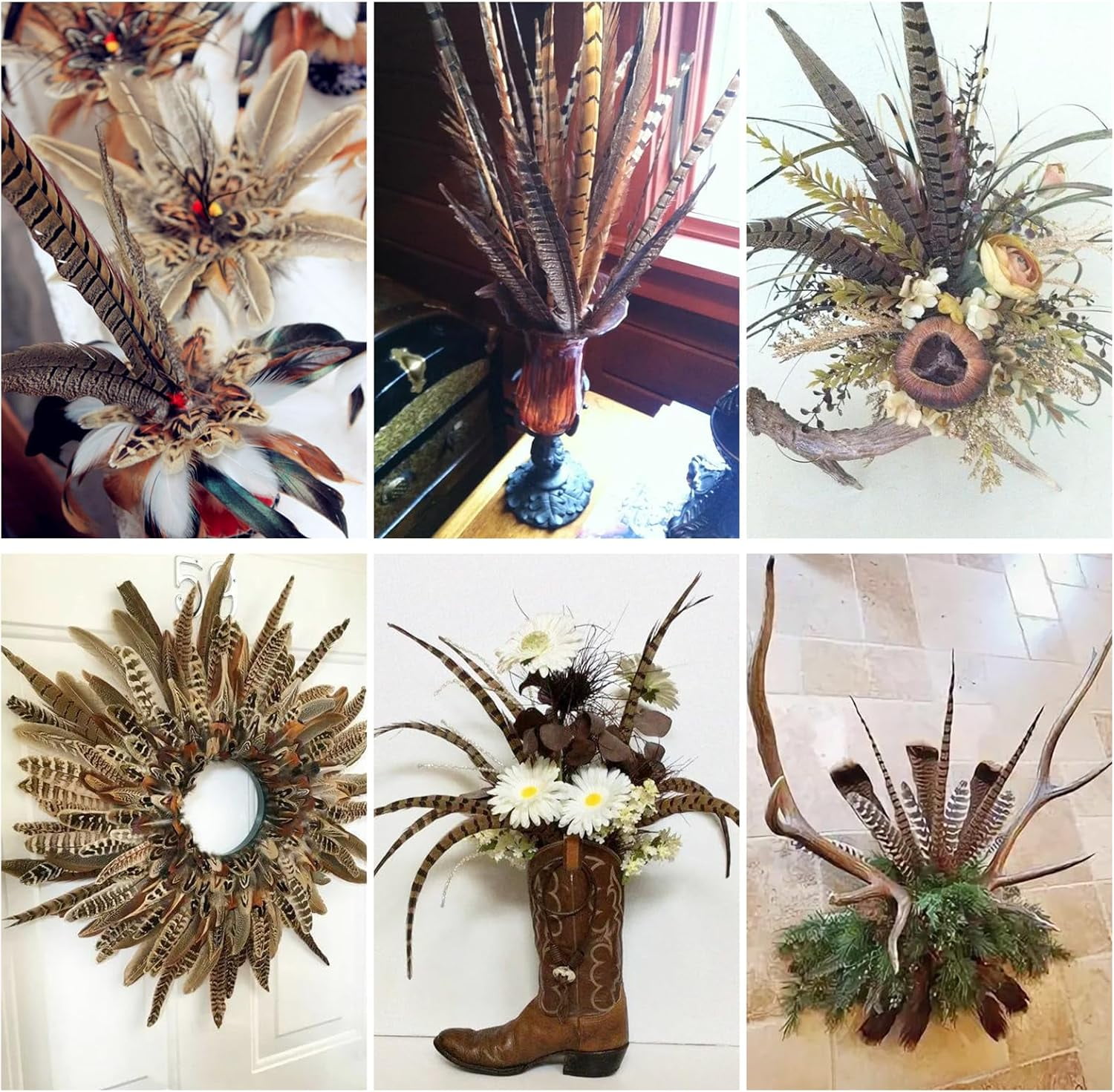 Male Pheasant Feathers, Natural Feathers Male Ringneck Pheasant Tails ...