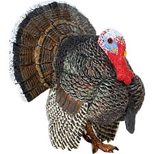 Male Turkey Farm Animal Figure by Safari Ltd 24929 - Walmart.com