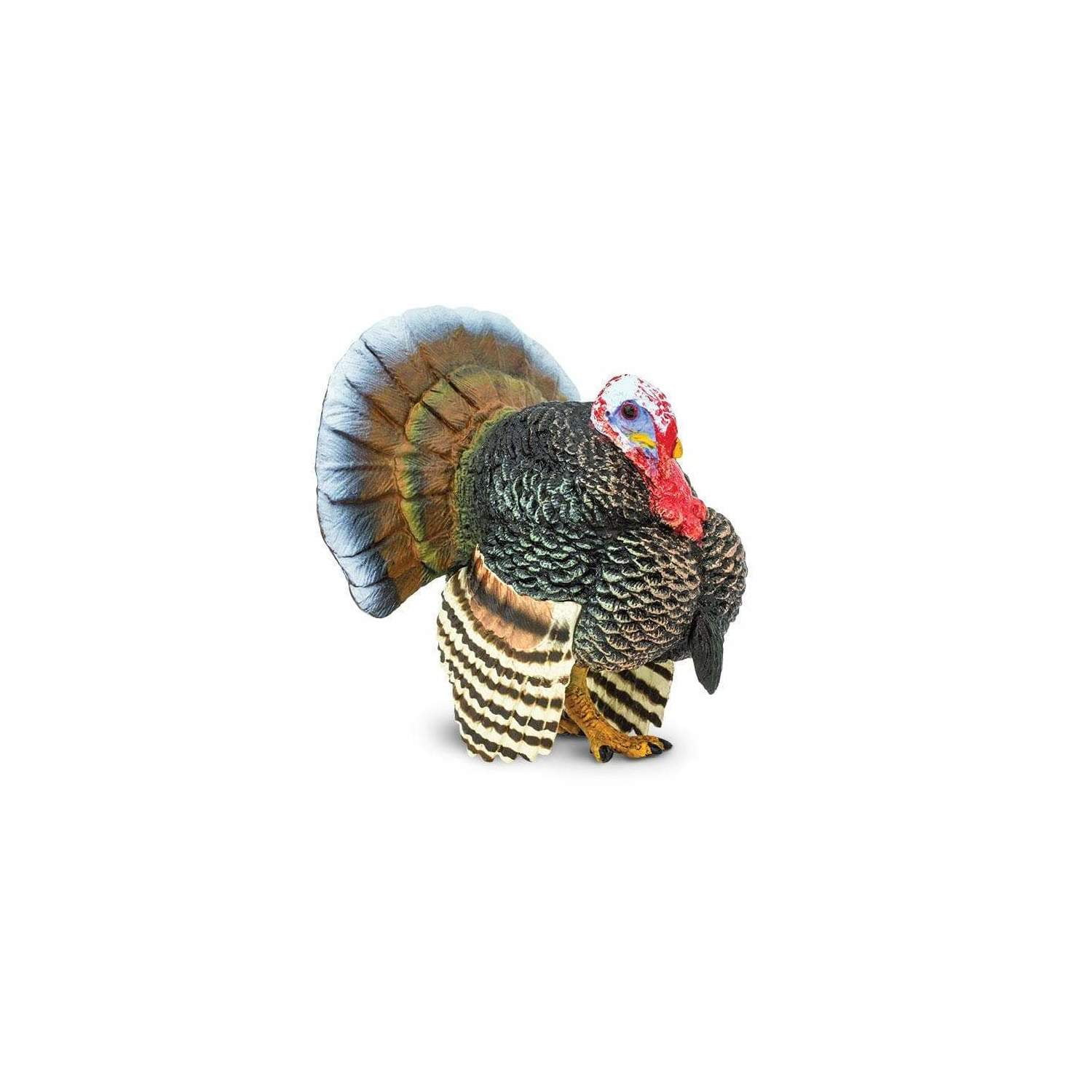 Safari Ltd. Domestic Turkey Figurine - Lifelike 3" Model Figure ...