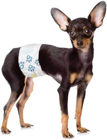 Male Wraps, Disposable Dog Diapers, 1-Tab X-Small, 144 Count - Snag ...