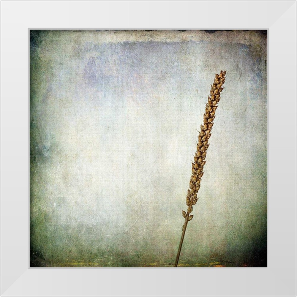 Malek, Honey 12x12 White Modern Wood Framed Museum Art Print Titled ...