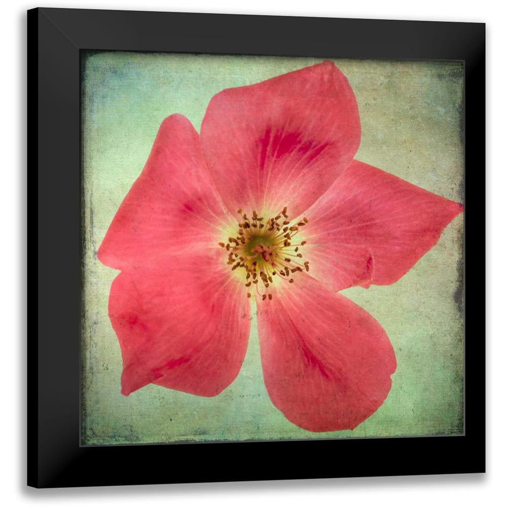 Malek, Honey 15x15 Black Modern Framed Museum Art Print Titled - Lush ...