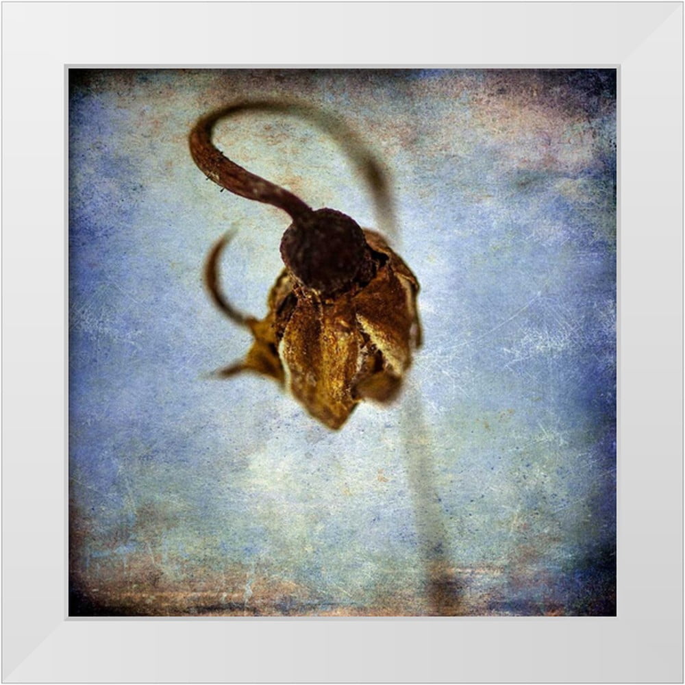 Malek, Honey 15x15 White Modern Wood Framed Museum Art Print Titled ...