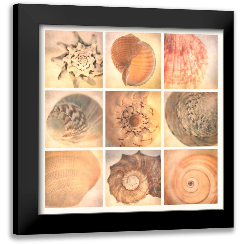 Malek, Honey 20x20 Black Modern Framed Museum Art Print Titled - Coral ...