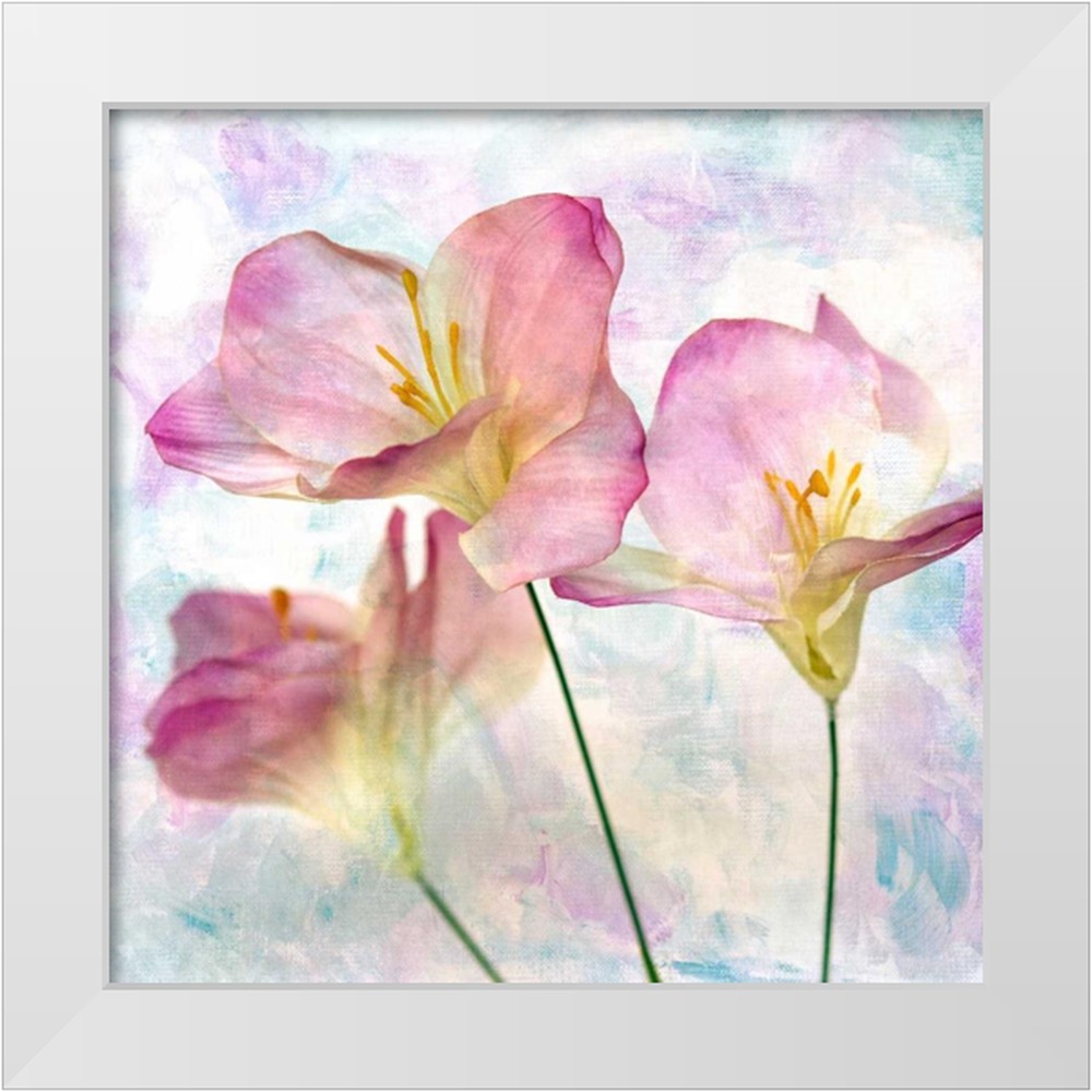 Malek, Honey 26x26 White Modern Wood Framed Museum Art Print Titled ...