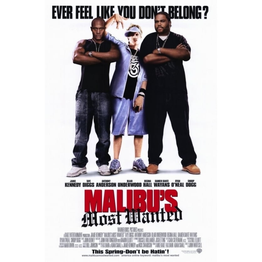 Malibus Most Wanted Movie Poster (11 x 17) - Walmart.com